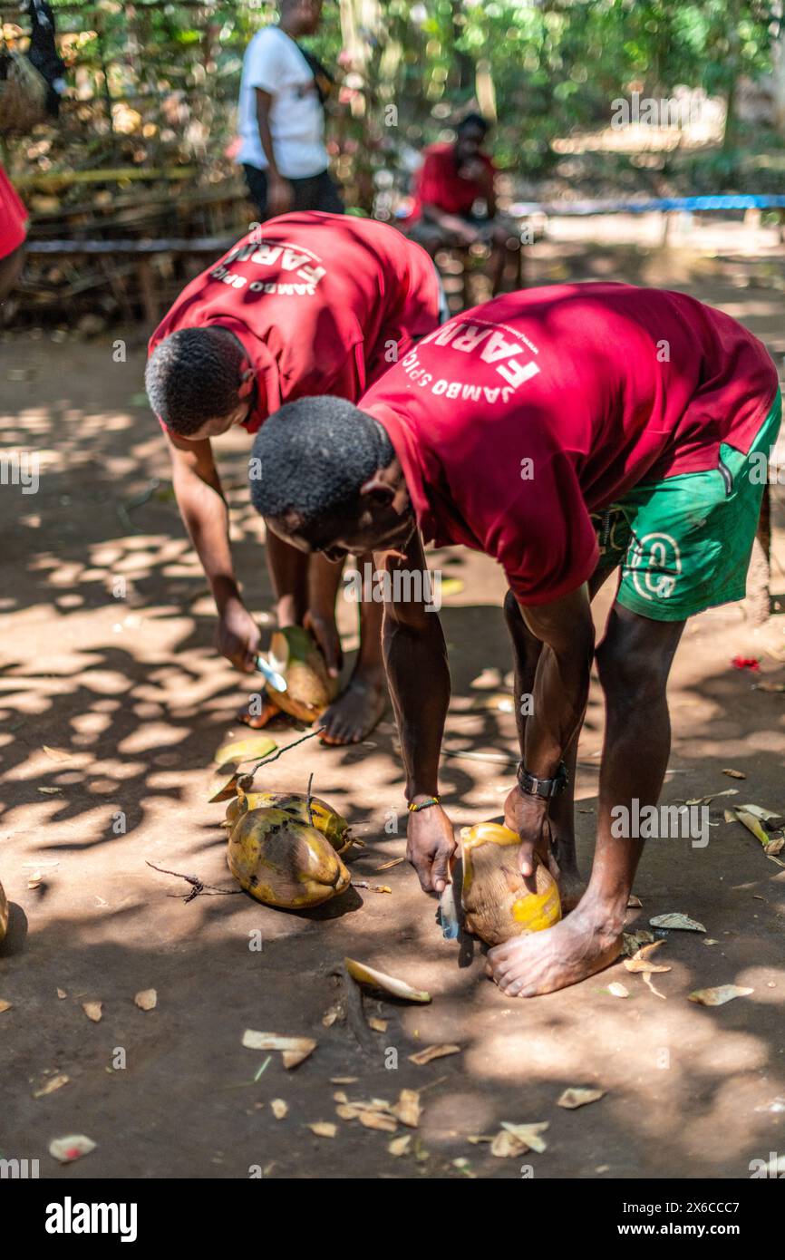 Cutting up coconuts hi-res stock photography and images - Alamy