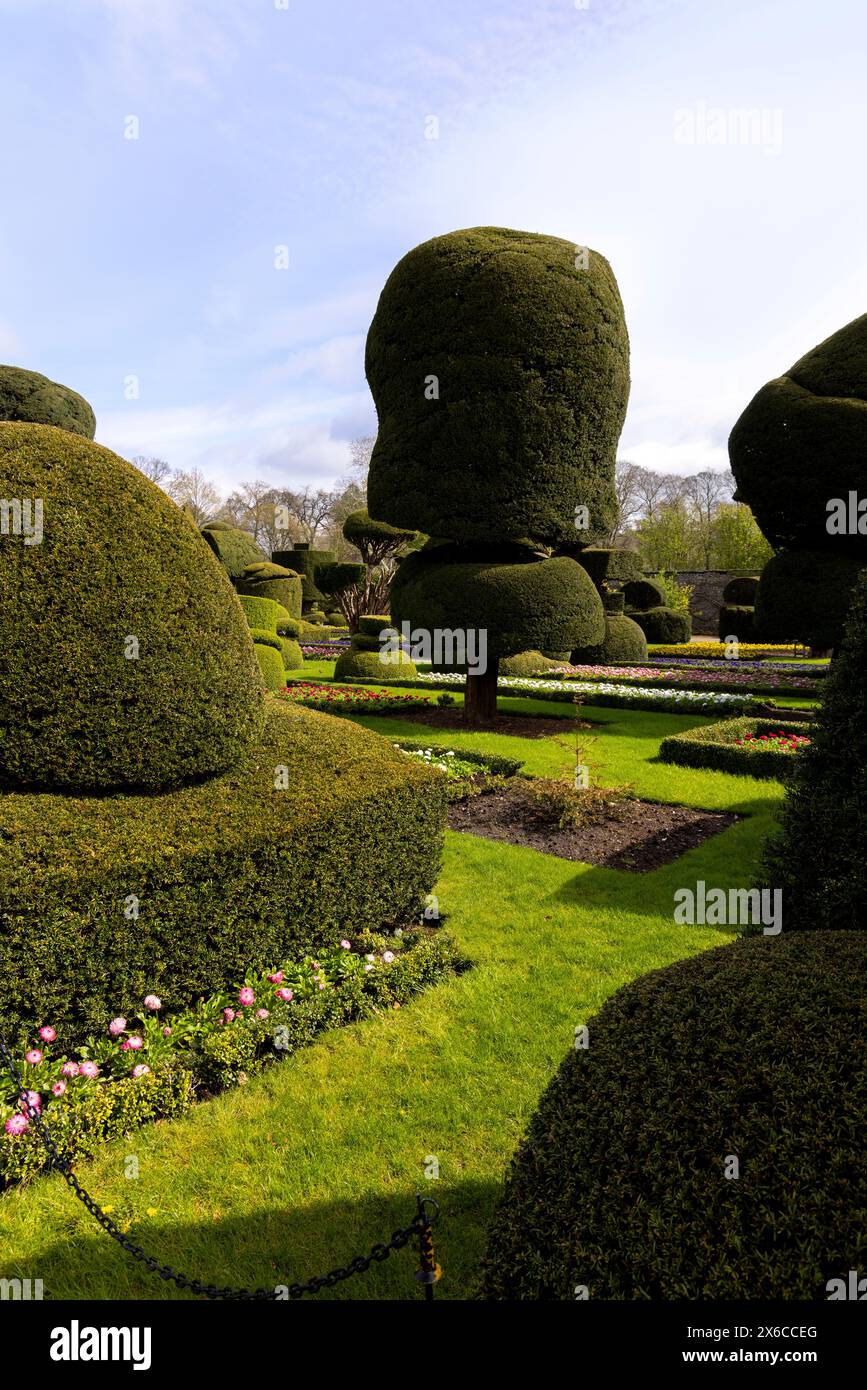 Stunning topiary in the gardens of Levens Hall, Kendal, Lake District ...