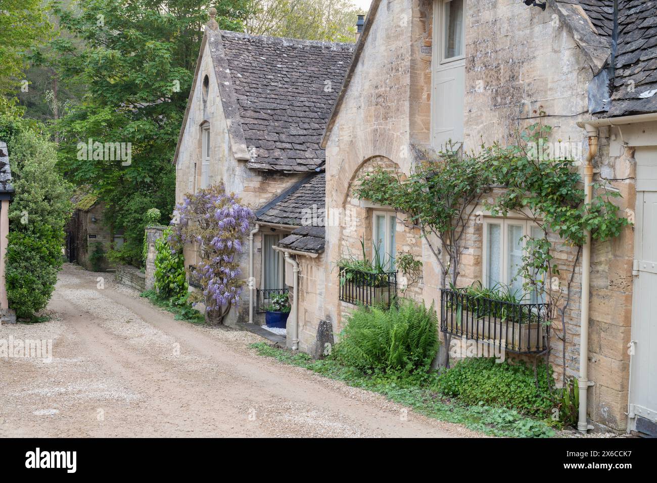 Wisteria on a cotswold stone house along The Mill. Burford. Cotswolds ...