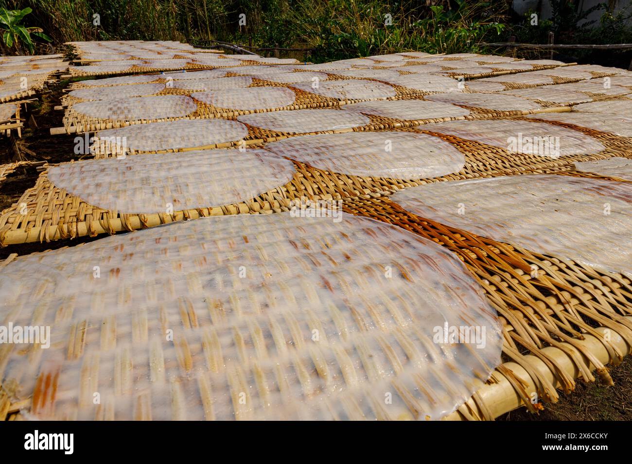Rice paper production in the Mekong Delta at Cai Rang in Vietnam Stock ...
