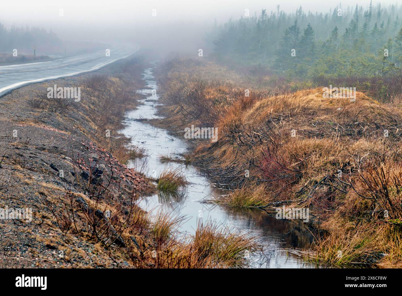 Roadside drainage ditch in fog - views Stock Photo - Alamy