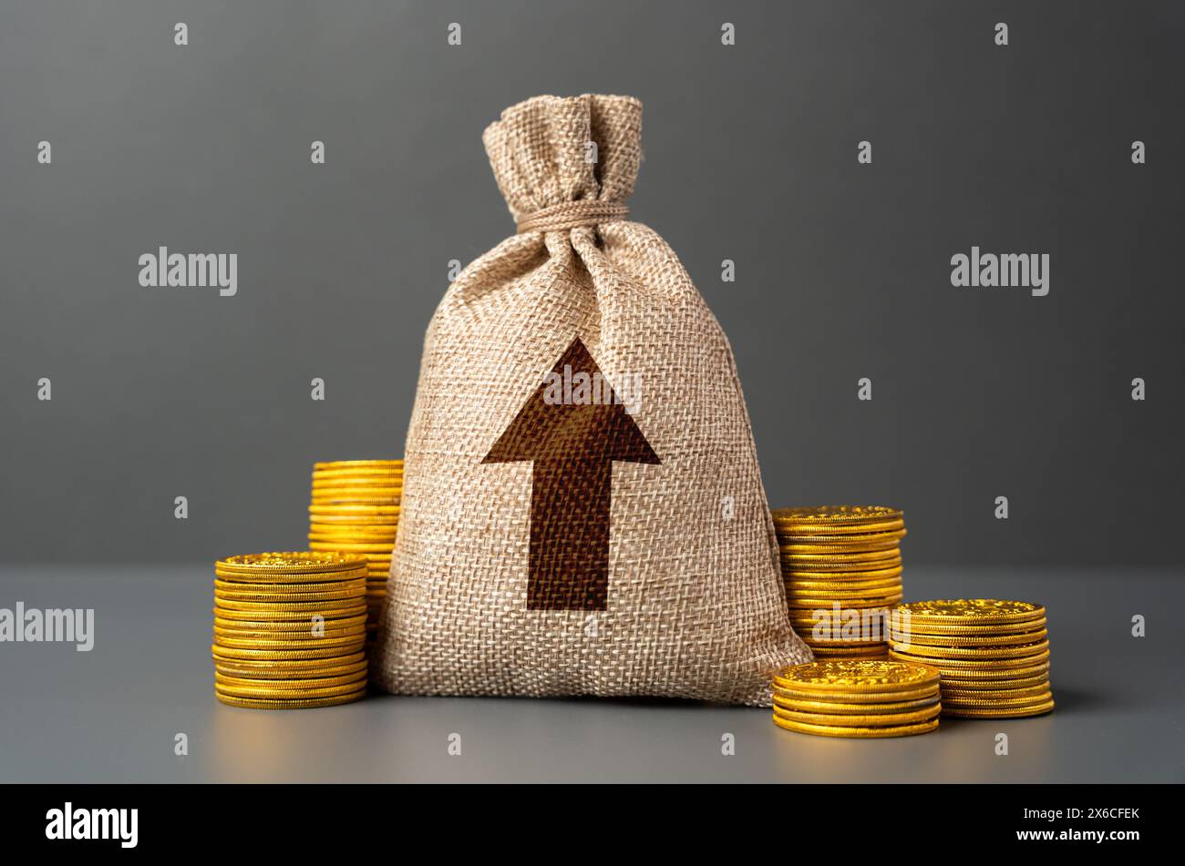 Money bag with up arrow. Rise of profits. Increase in the deposit rate ...