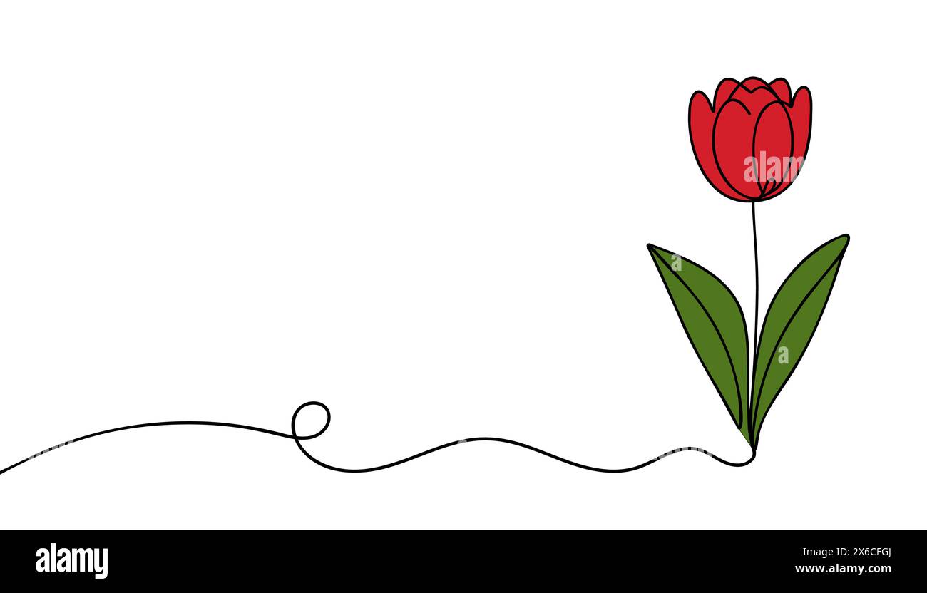Tulip one line drawing. Abstract flower continuous line. Hand drawn ...