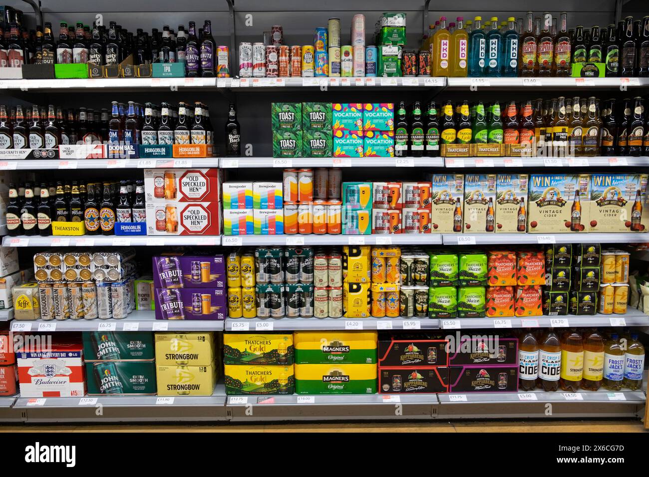 Rows of plastic bottles alcohol drinks various variety of craft beer ...