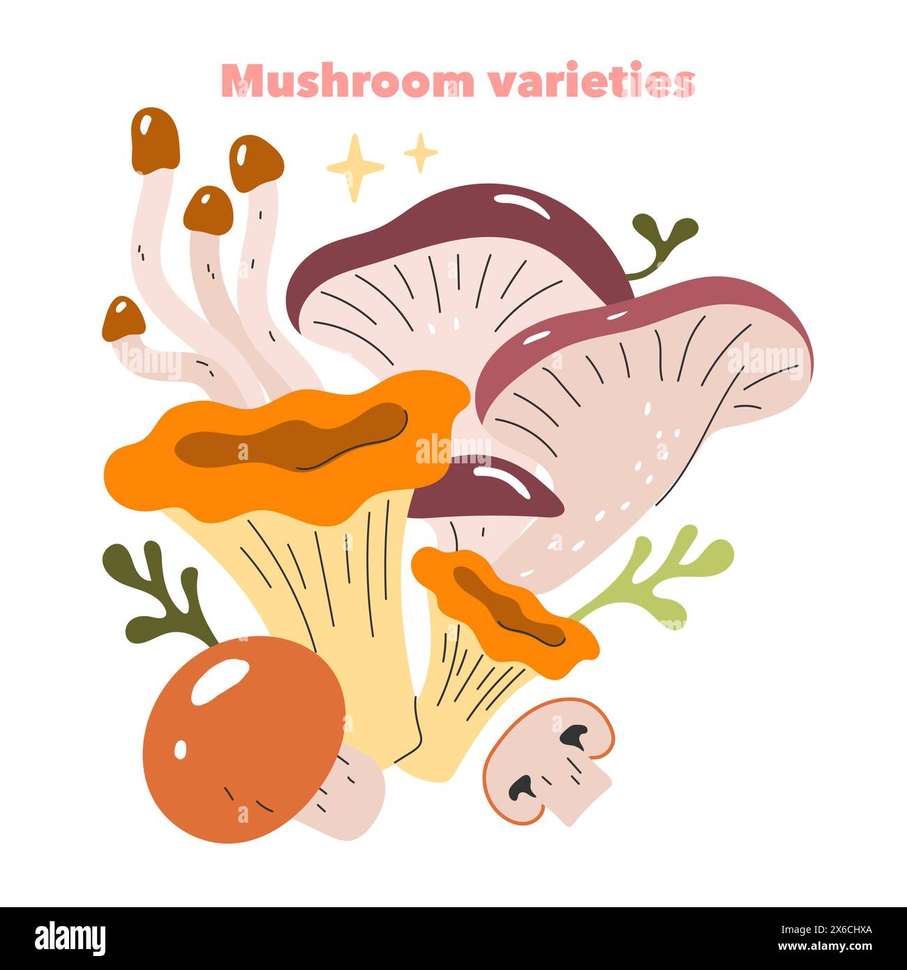 Mushroom Varieties concept. Collection of diverse fungi with enchanting ...