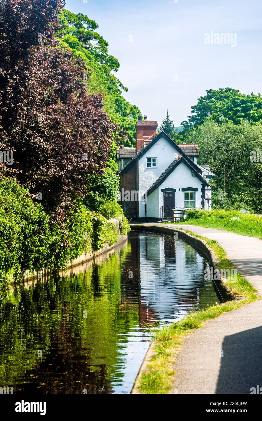 View of the Llangollen Canal at Llangollen Stock Photo - Alamy