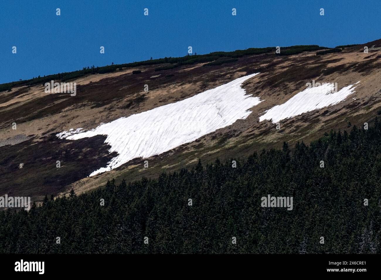 Giant war map of the world hi-res stock photography and images - Alamy