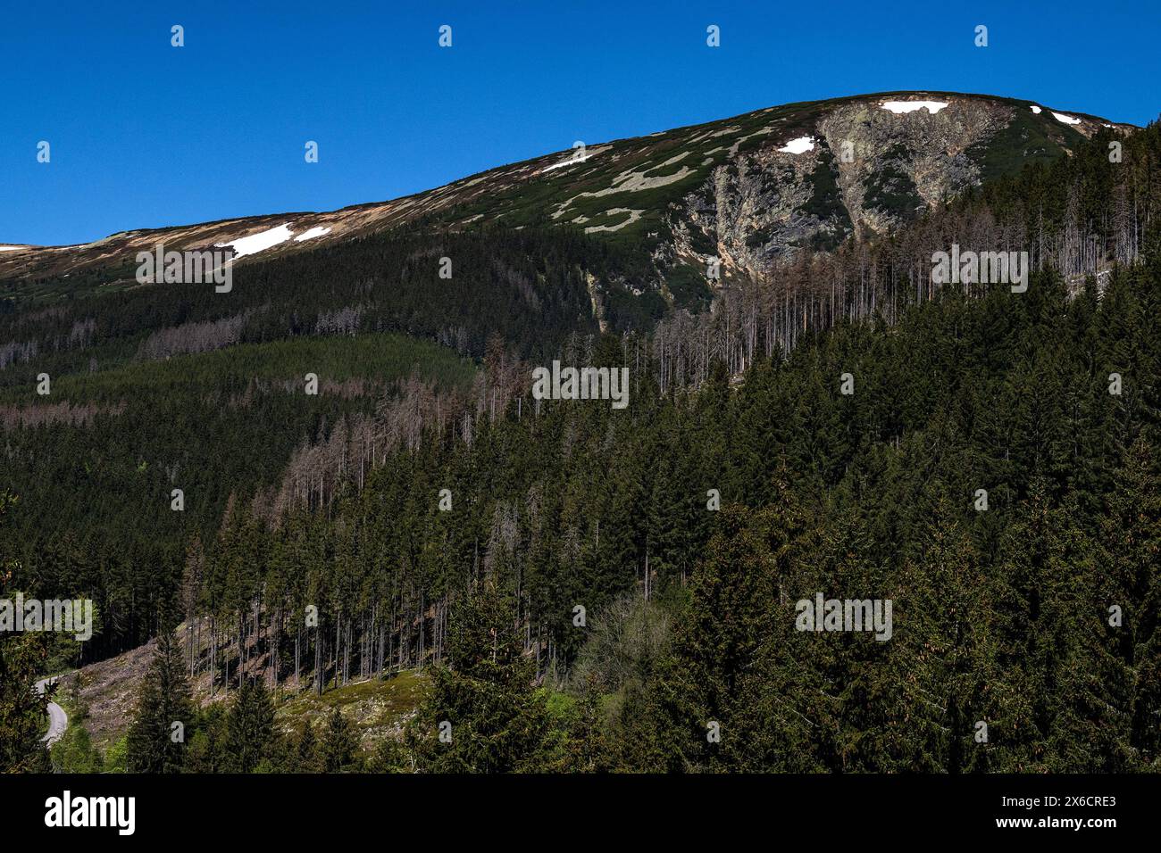 Pec Pod Snezkou, Czech Republic. 14th May, 2024. Snow remains on ...