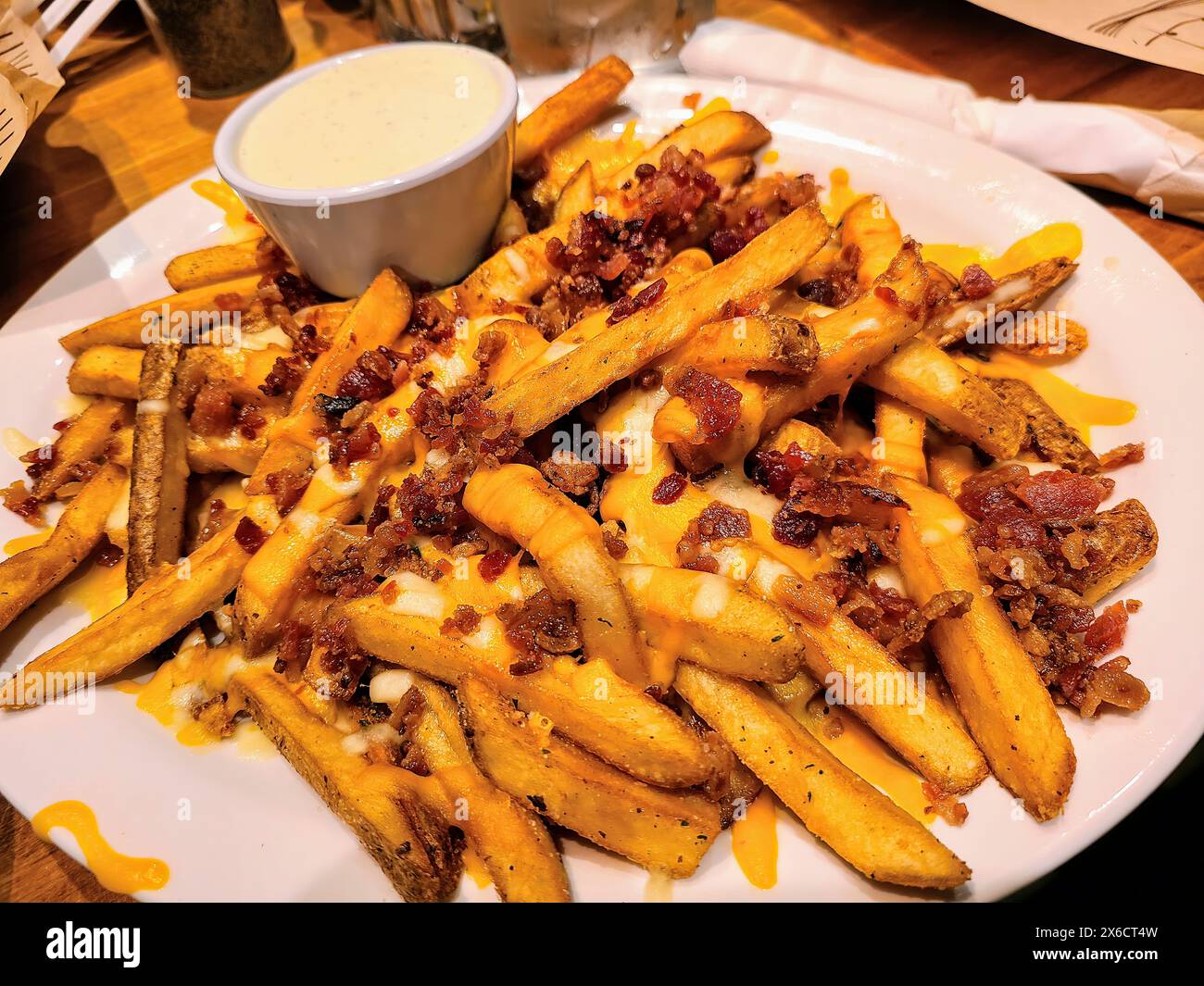 Golden Crispy Loaded Fries with Cheese and Bacon, Eye-Level View Stock ...