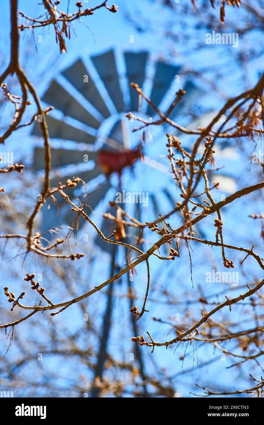 Spring Buds and Blurred Windmill in Natural Light Stock Photo - Alamy