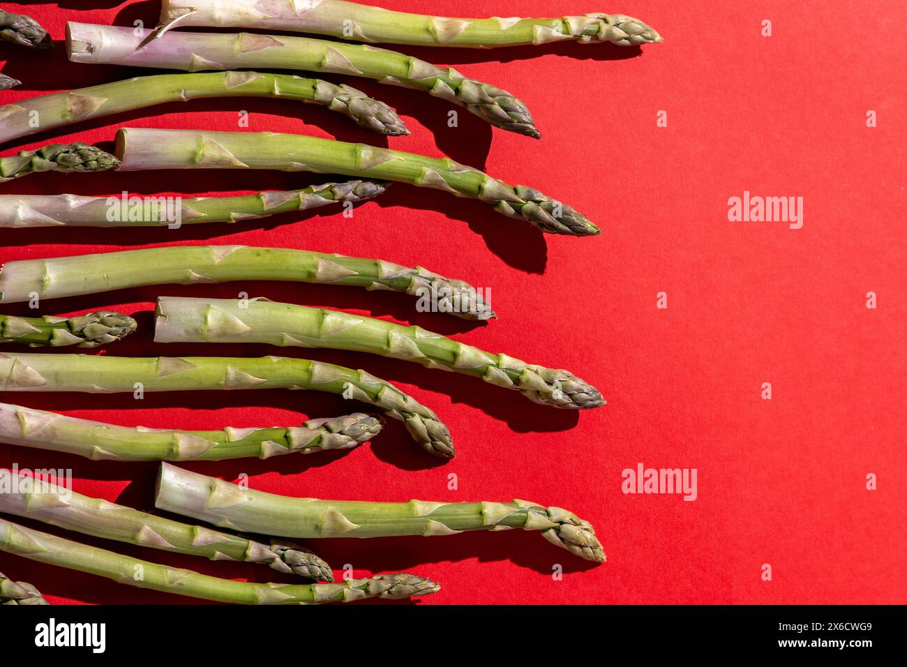 Green asparagus on red background. Vegetable food top view. Sprouts ...
