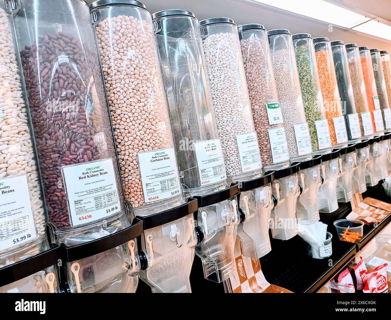 Organic Beans and Legumes Display in Bulk Food Section, Eye-Level View ...