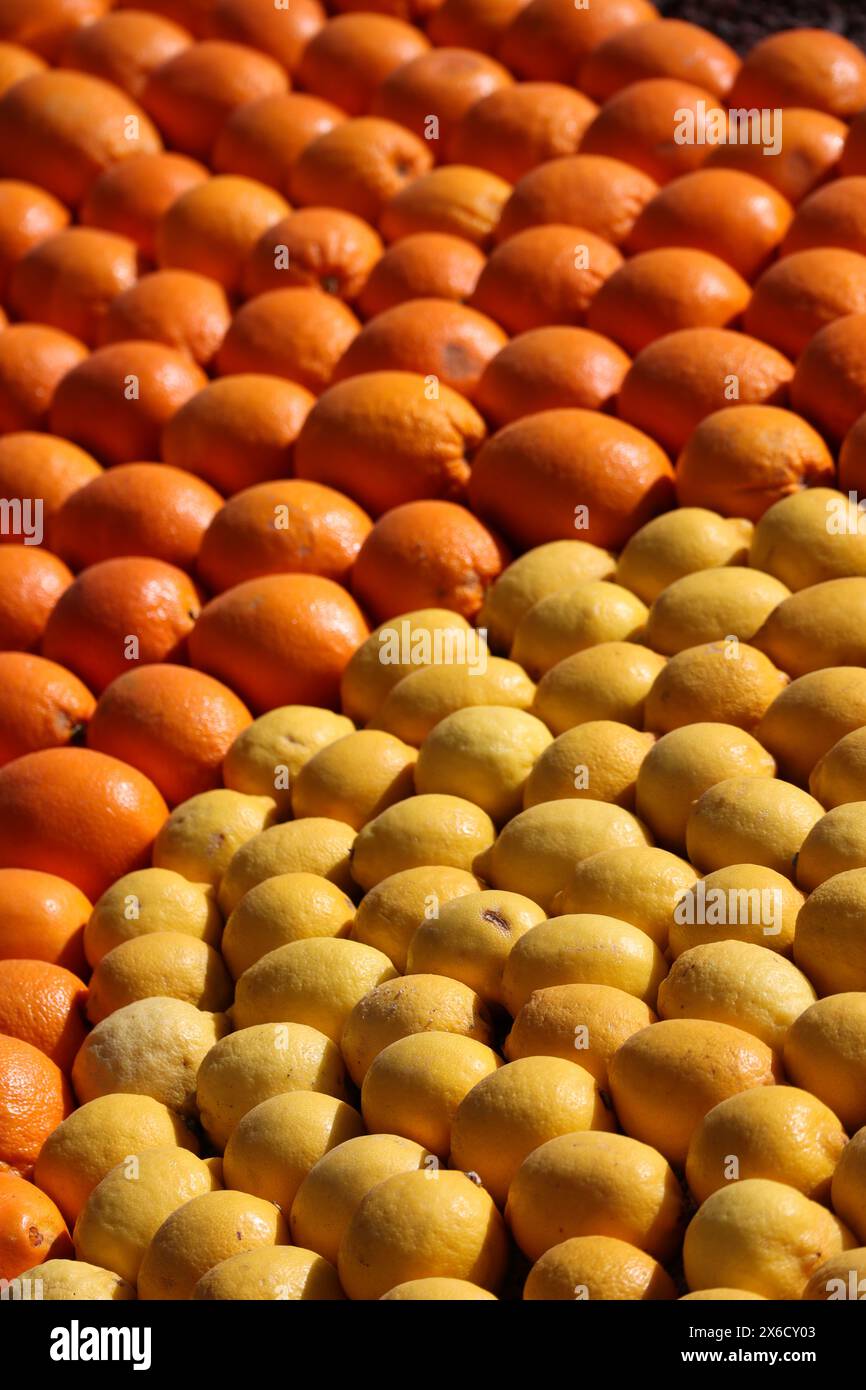 Lemons and oranges in Menton, France Stock Photo - Alamy