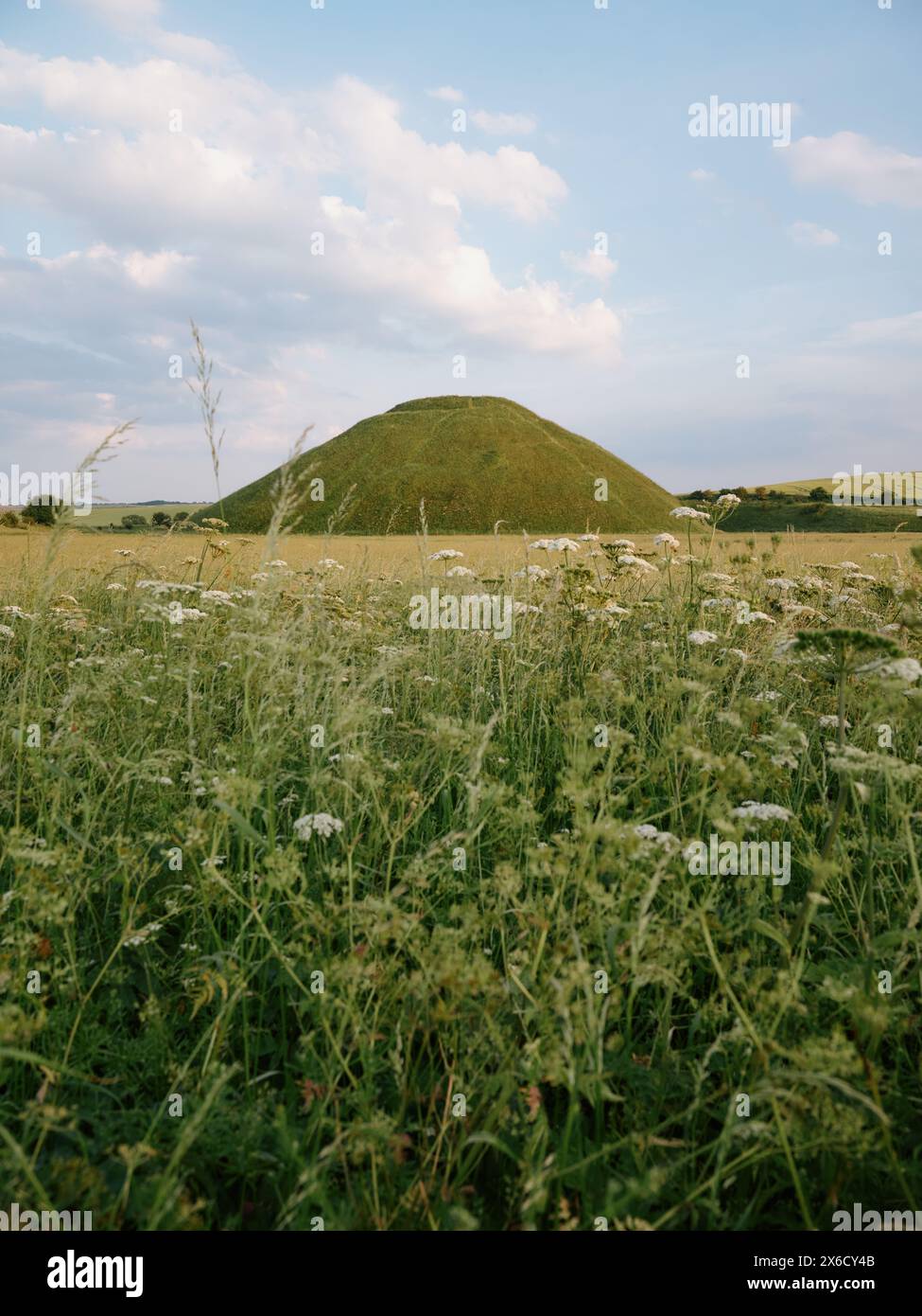 The summer long grass countryside landscape of Silbury Hill prehistoric ...
