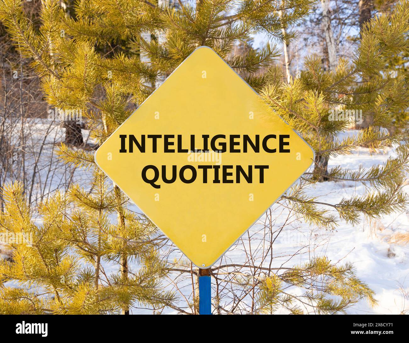 IQ intelligence quotient symbol. Concept words IQ intelligence quotient ...