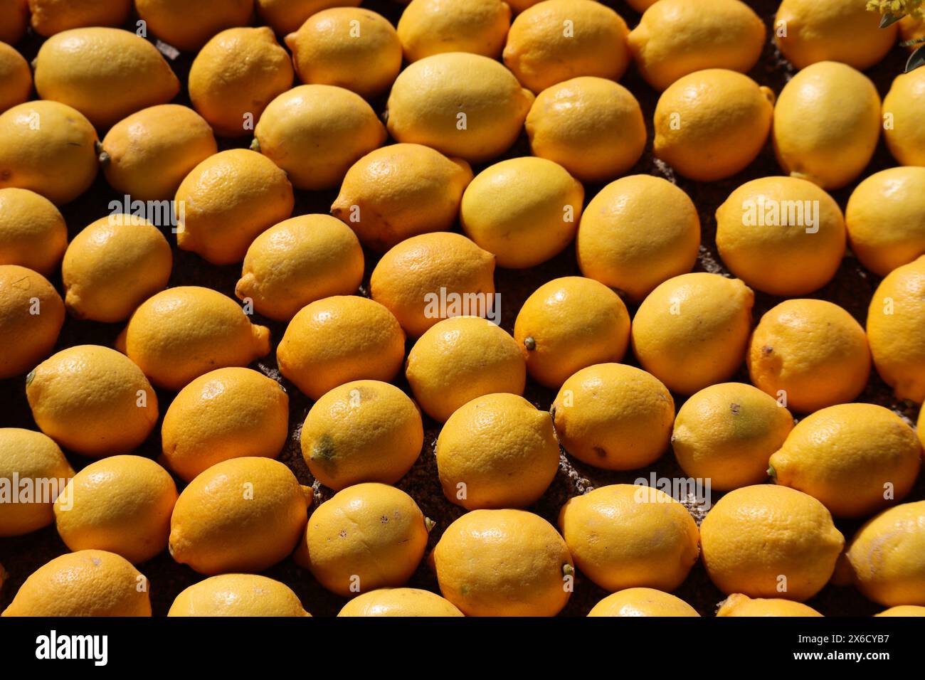 Event lemons hi-res stock photography and images - Alamy