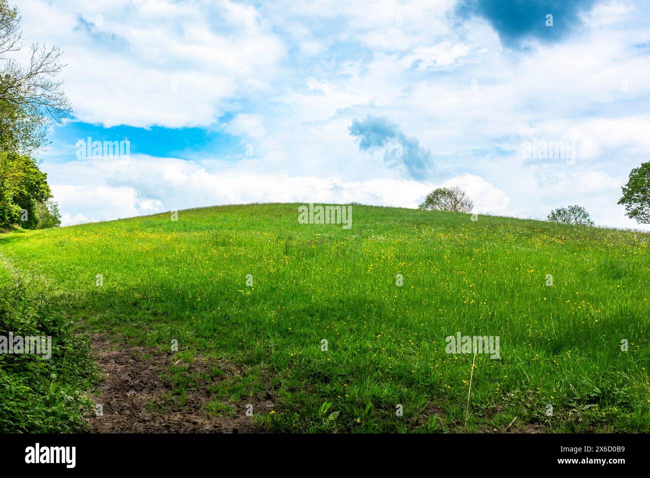 Grass covered hill in spring with blue sky, UK Stock Photo - Alamy