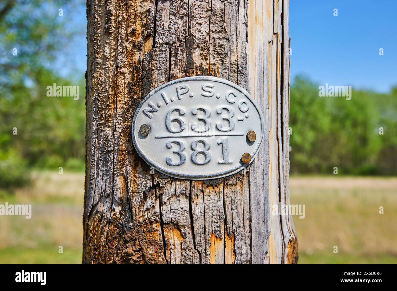 Rural Utility Pole with Metallic Sign, Green Natural Background Stock ...