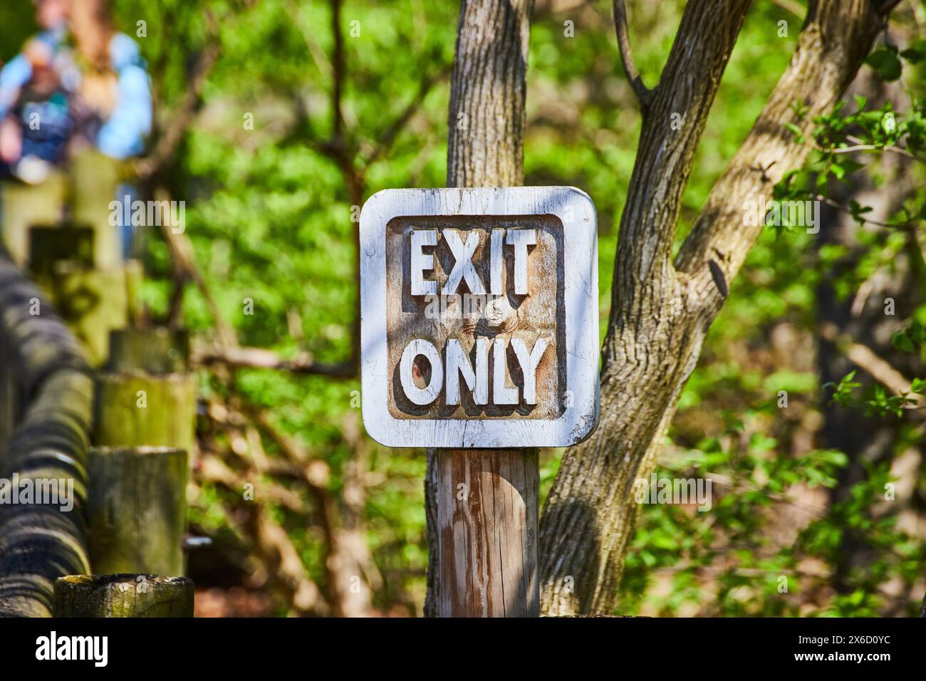 Rustic Exit Only Sign in Lush Park, Eye-Level View Stock Photo - Alamy
