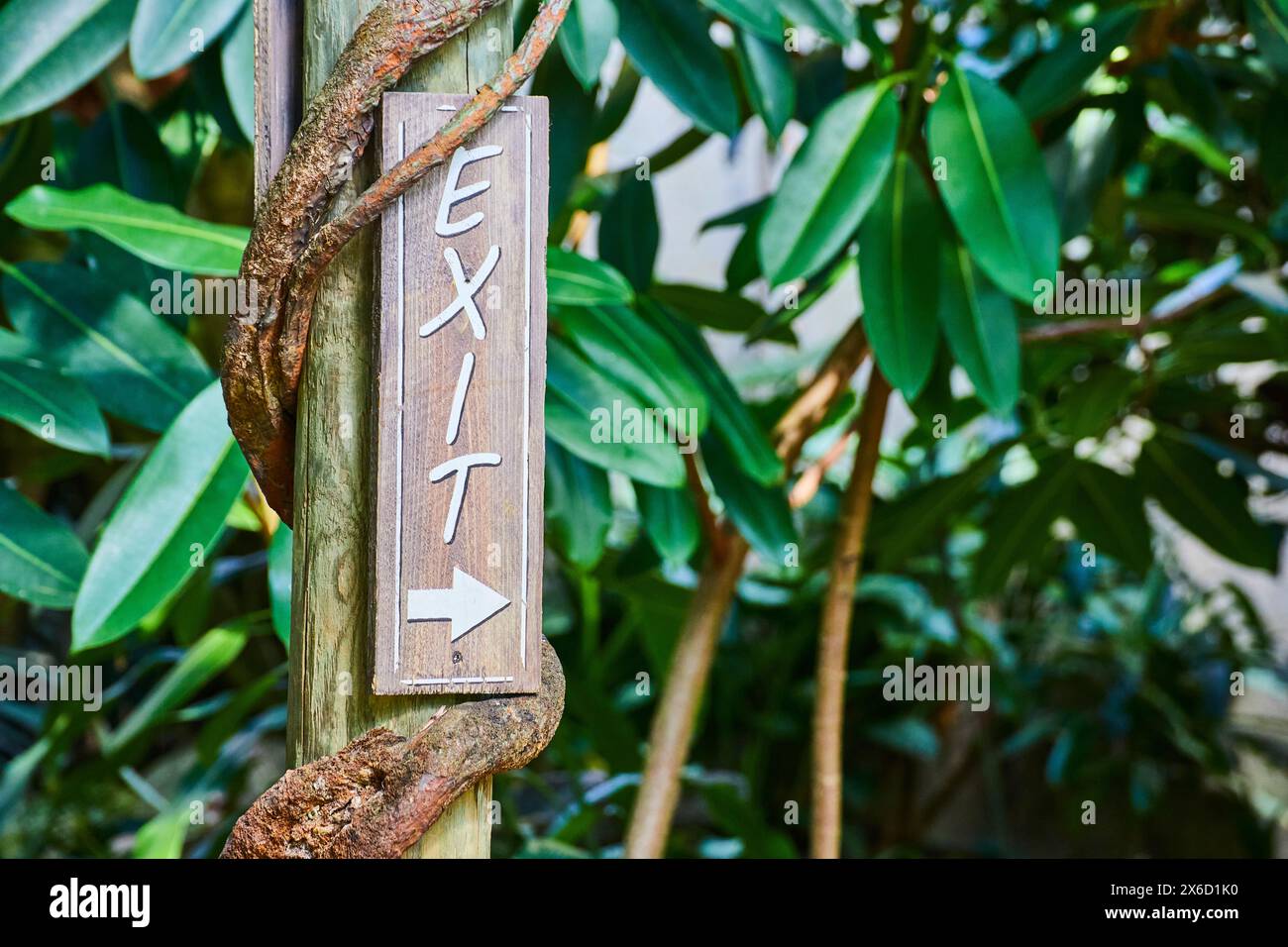 Rustic EXIT Sign Entwined by Vine in Tropical Garden Setting Stock ...
