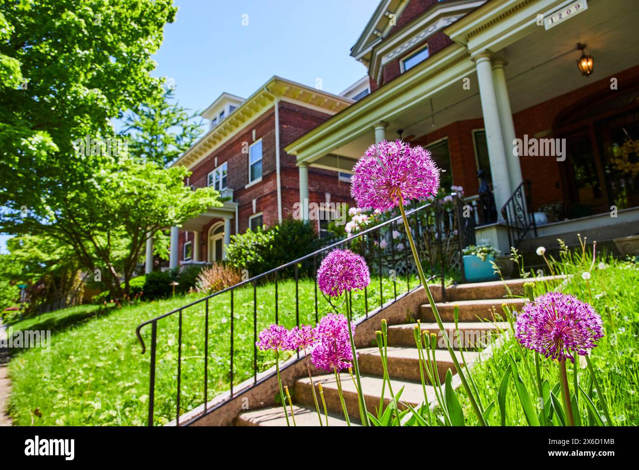Traditional Brick House with Purple Flower Pathway in Suburban Setting ...