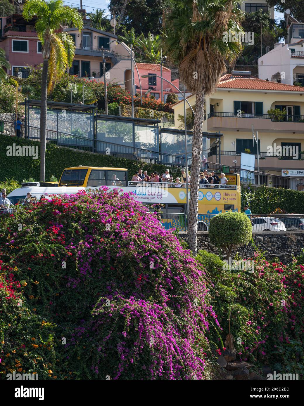 Tour bus on the mountainside road of Câmara de Lobos, Madeira, Portugal ...