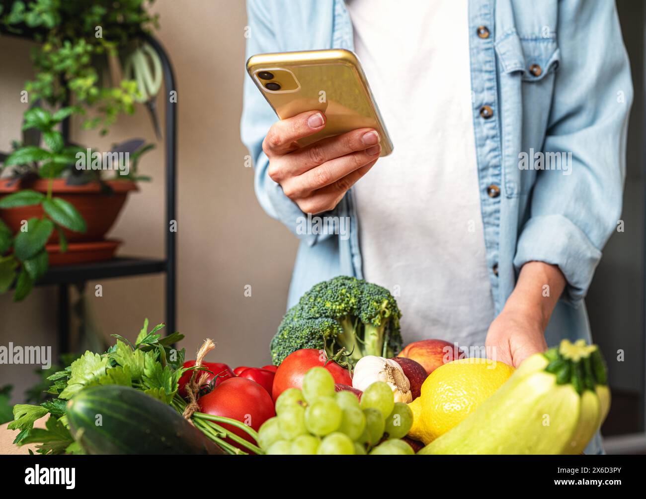 Online shopping farm grown products. Delivery service of healthy bio ...