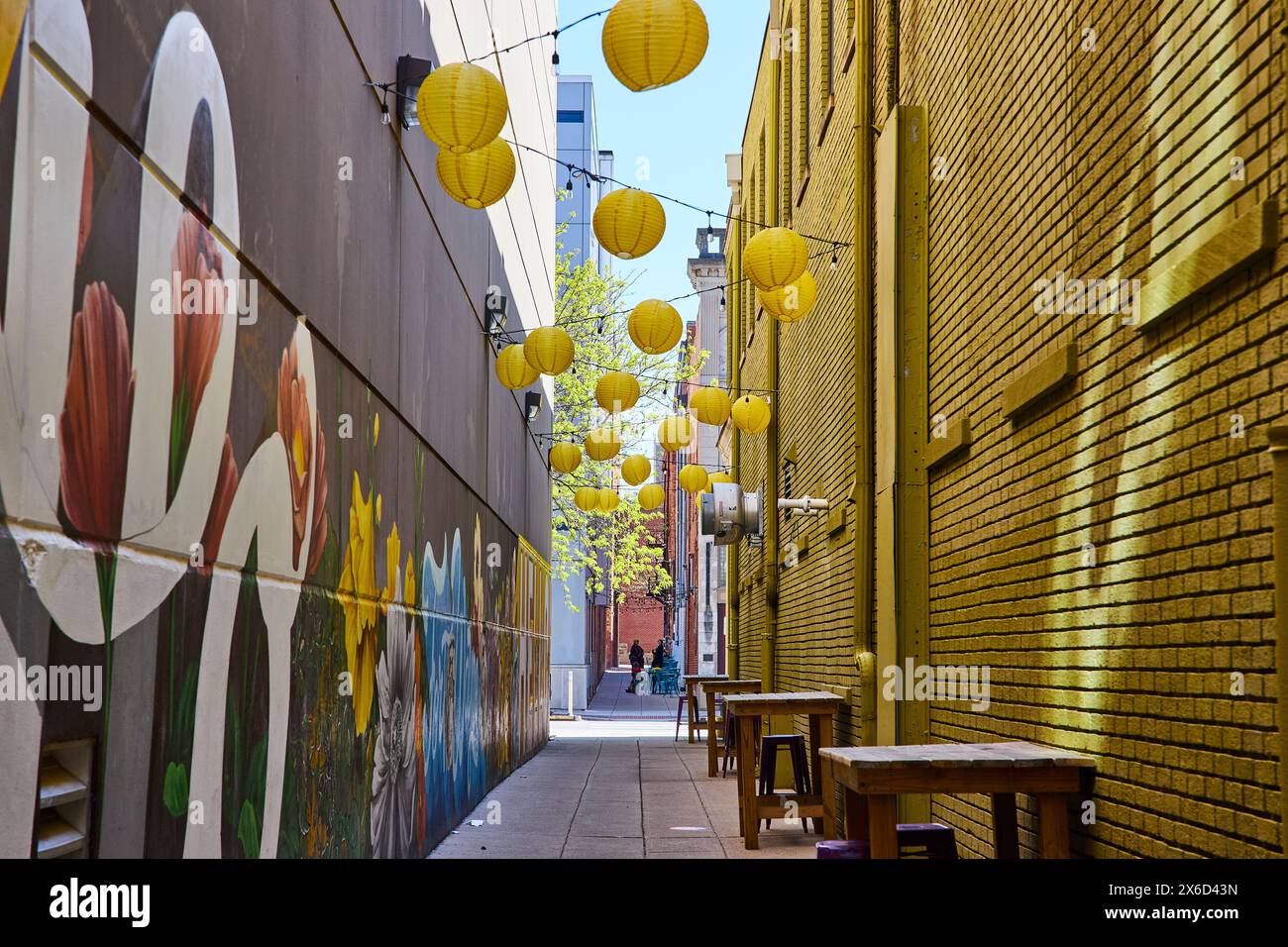 Vibrant Alley with Tulip Mural and Yellow Lanterns, Urban Dining Scene ...