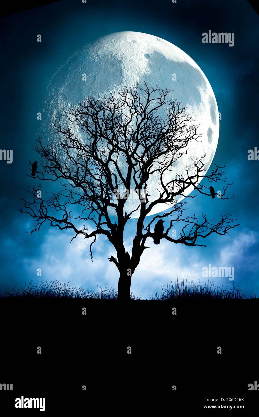tree silhouette with crows standing on branches, in front of a full ...