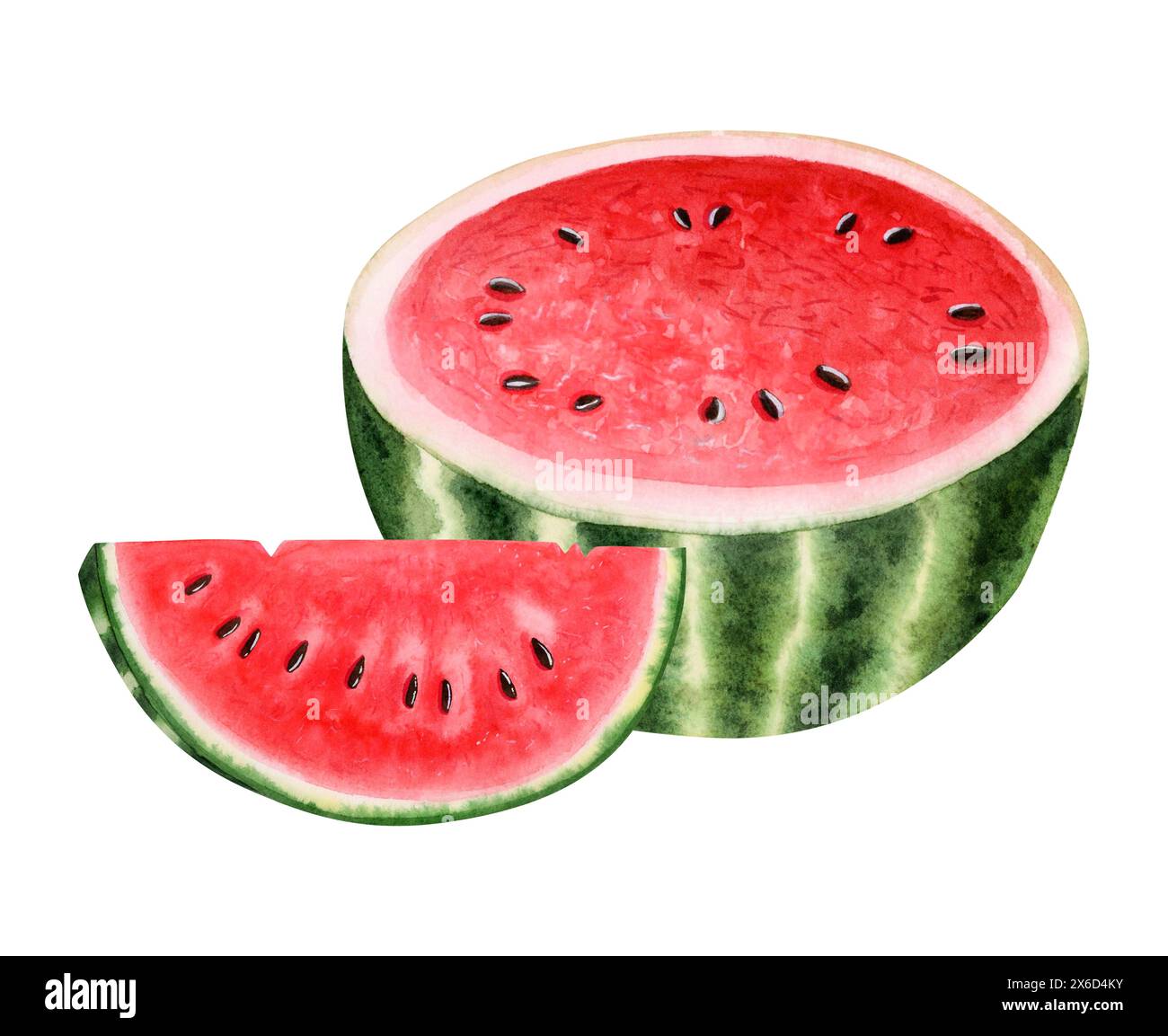 Watercolor watermelon half with oval slice illustration isolated on ...