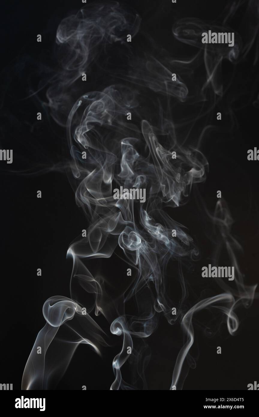 Fluffy curly white smoke lines isolated on black background Stock Photo ...