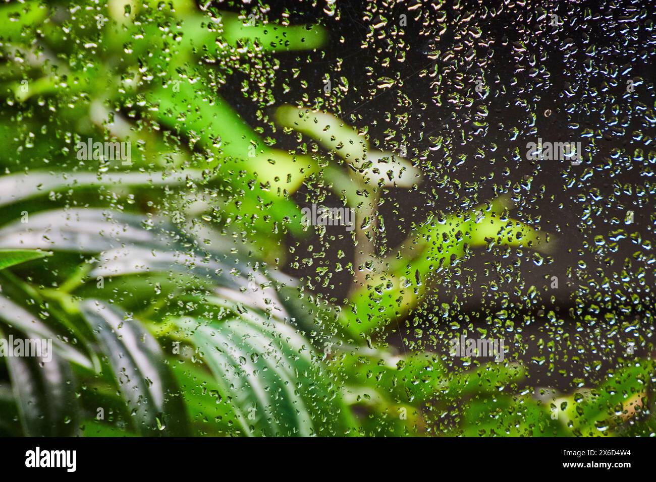 Raindrops on Window with Lush Garden View, Interior Perspective Stock ...
