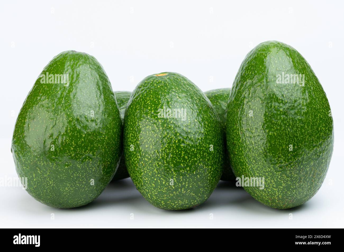Set of green avocado fruits isolated on white studio background Stock ...