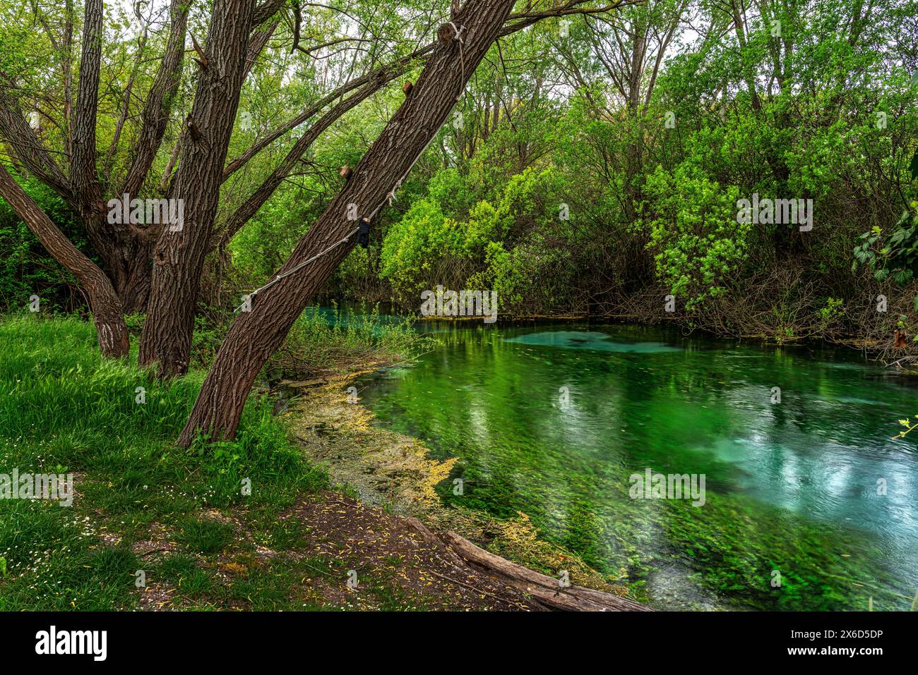 The calm and transparent waters of the Tirino river flow placidly ...