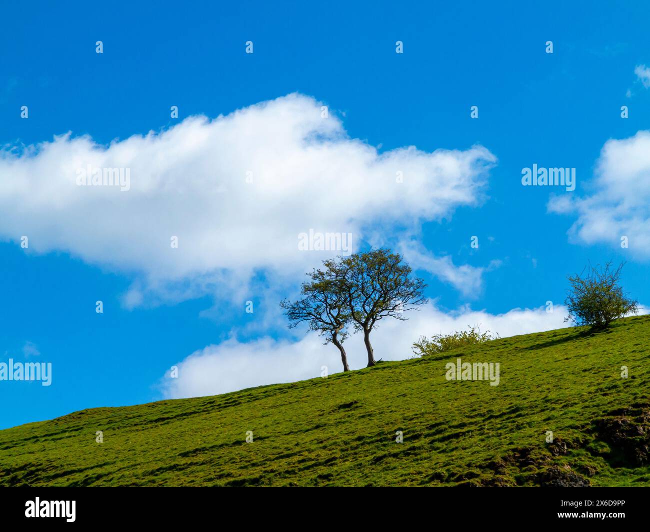 Landscape with trees in early spring near Brassington in the Derbyshire ...