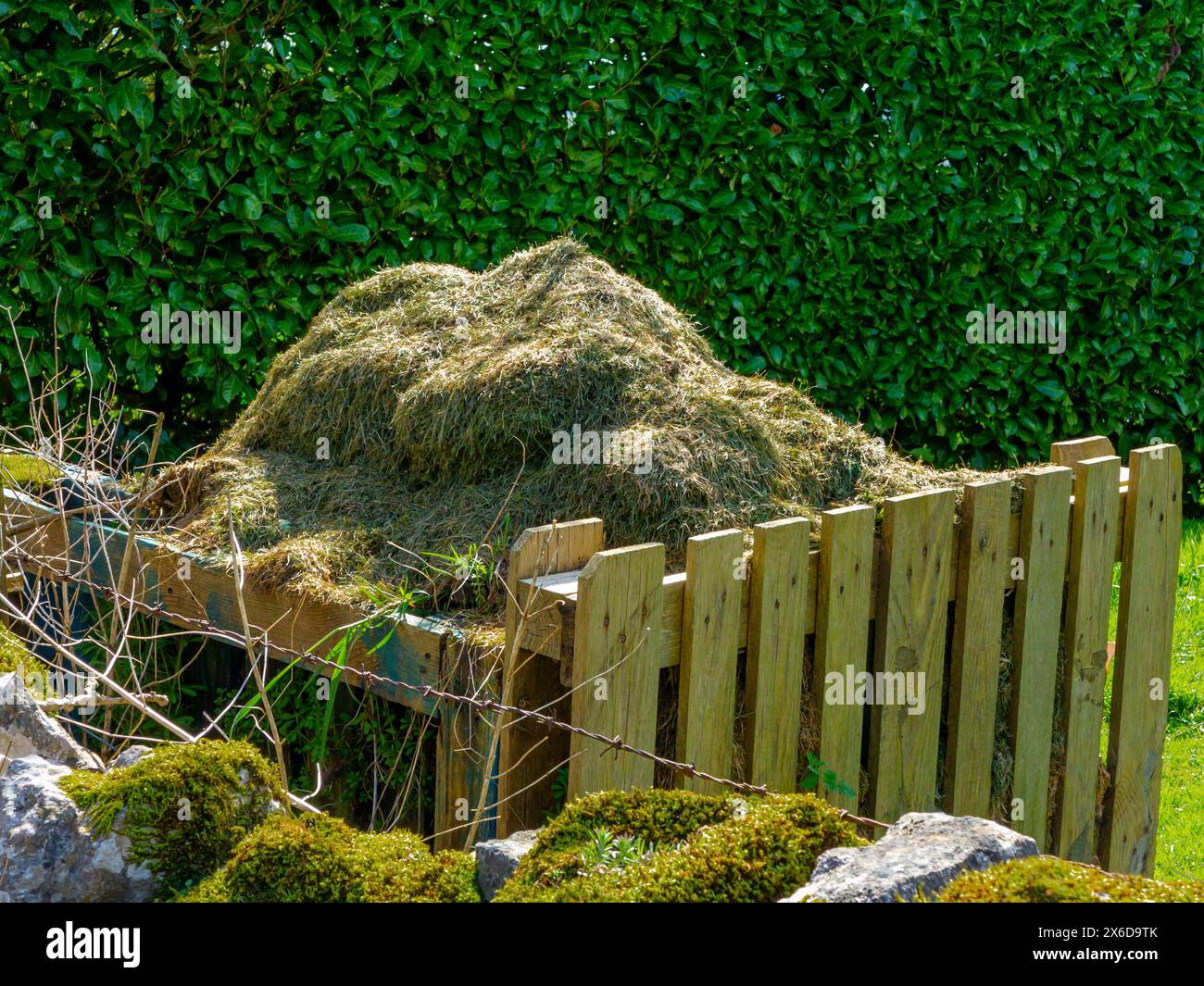 Compost heap in a garden with a green hedge in the background Stock ...