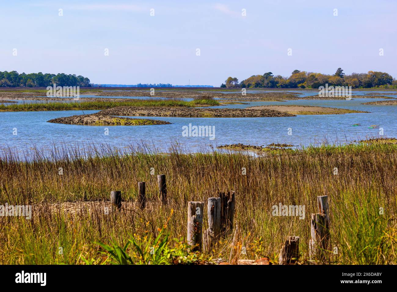 landscape view of wetlands at low Tided in rural Charleston South Carolina along the Atlantic ...