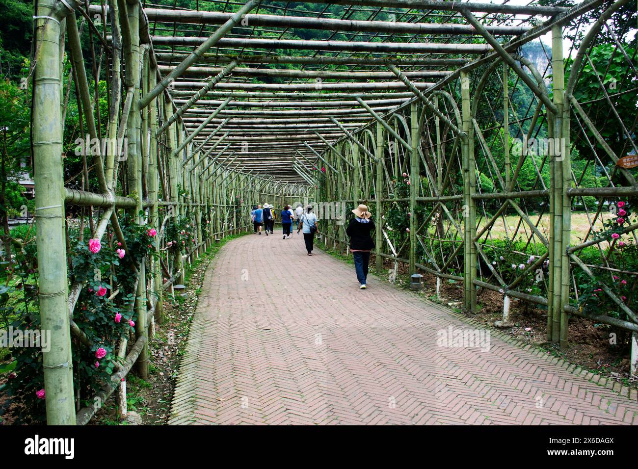 Chinese people and foreing travelers walking travel visit in Huanglong ...