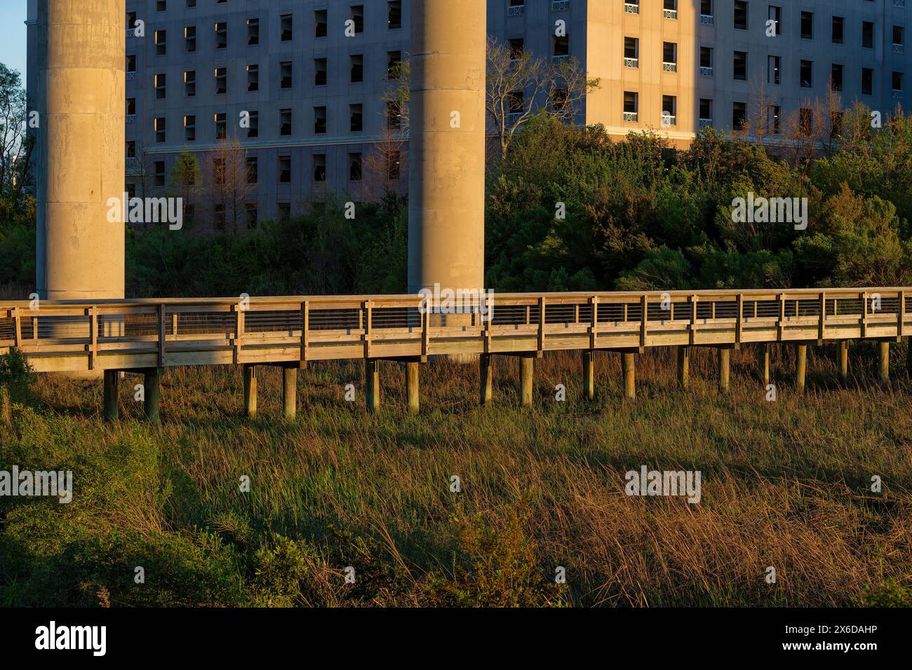 Evening sunlight highlights the boardwalk under the Arthur Ravenel, Jr ...