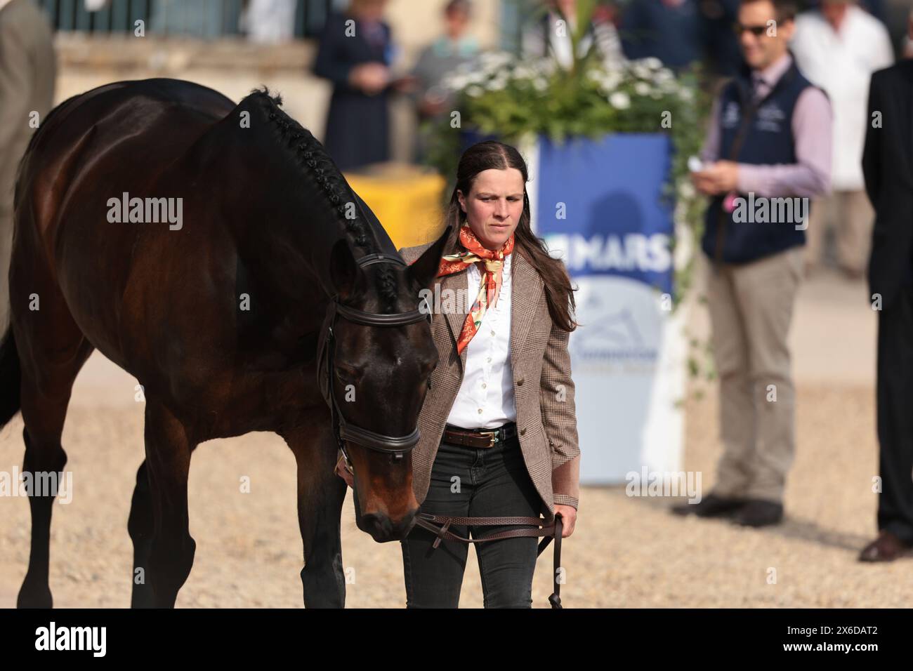 Nicky Hill of Great Britain with Mgh Bingo Boy during the second horse ...