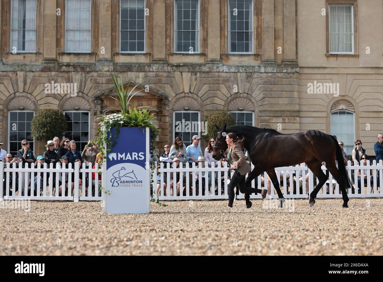 Nicky Hill of Great Britain with Mgh Bingo Boy during the second horse ...