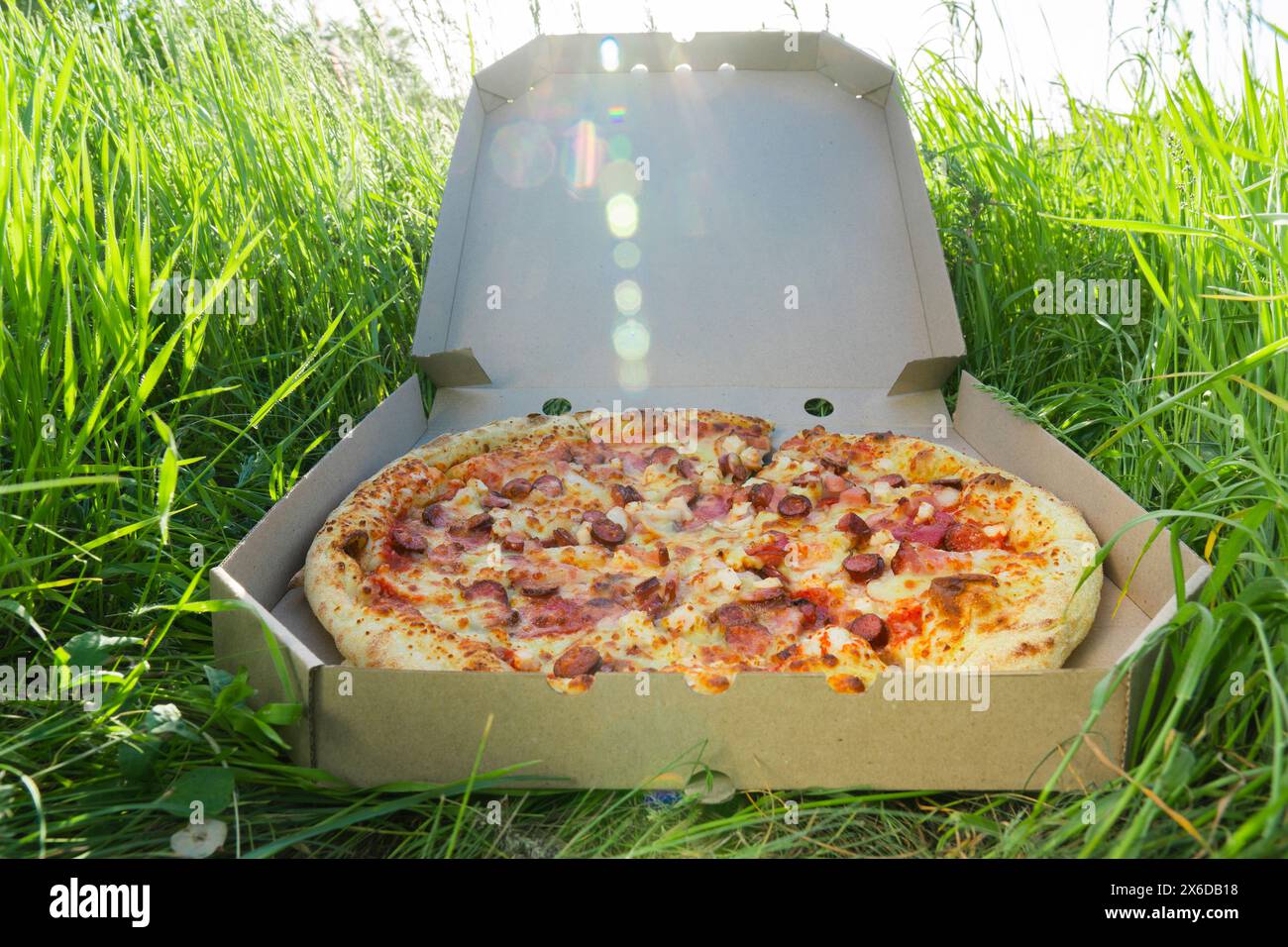 An open cardboard box with pizza lies in the green grass on a sunny ...