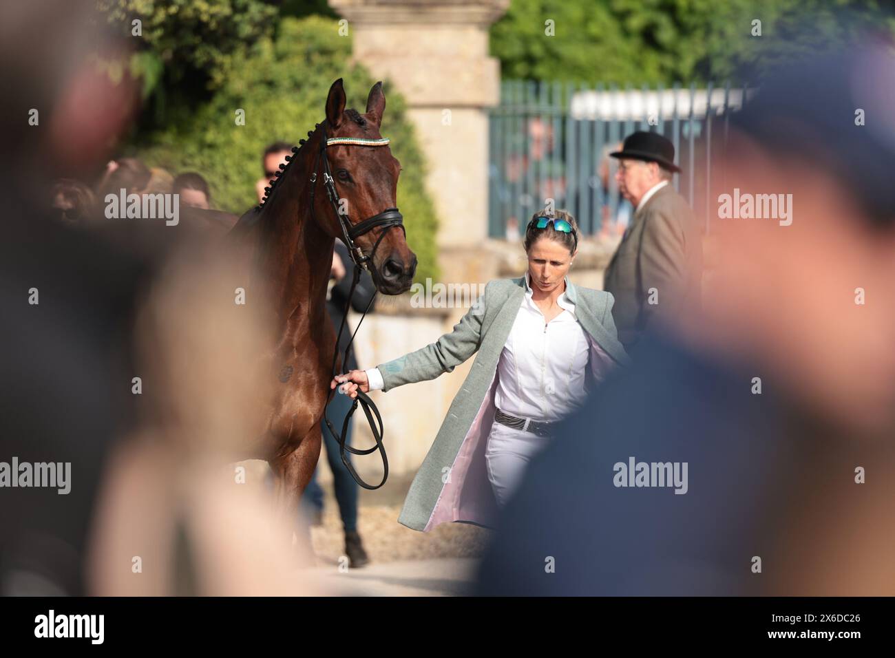 Sarah Ennis of Ireland with Grantstown Jackson during the second horse ...
