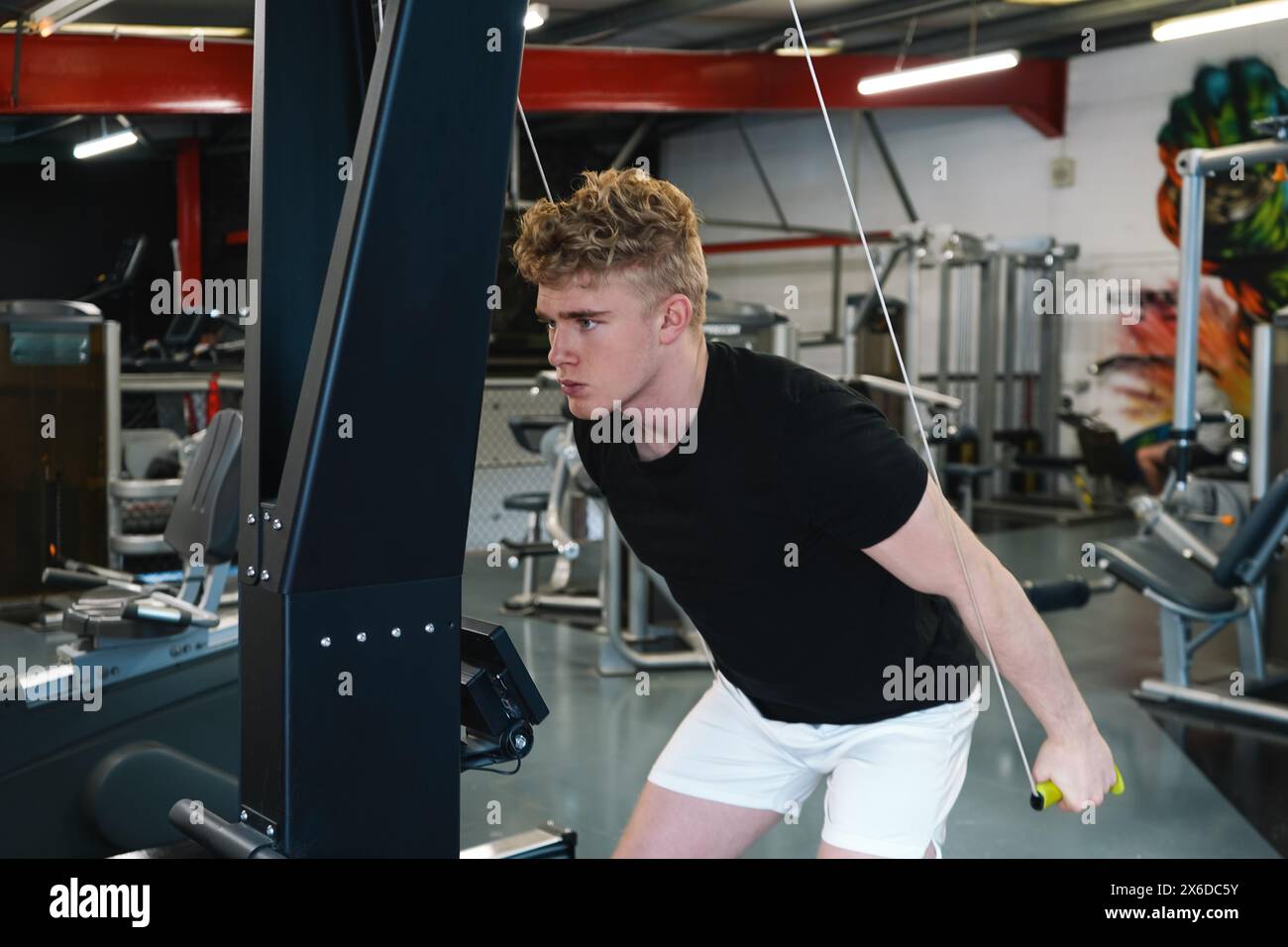 Ski erg machine hi-res stock photography and images - Alamy