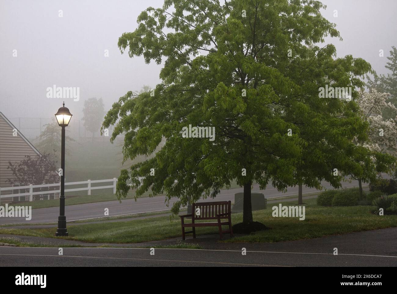 Grey street chester hi-res stock photography and images - Alamy