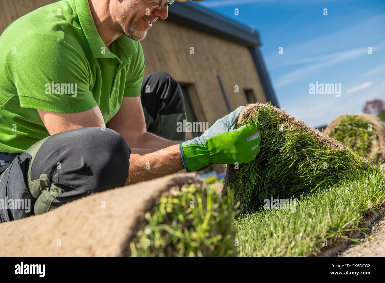 Landscaper laying grass sods on a lawn. Lawn grass replacing theme ...