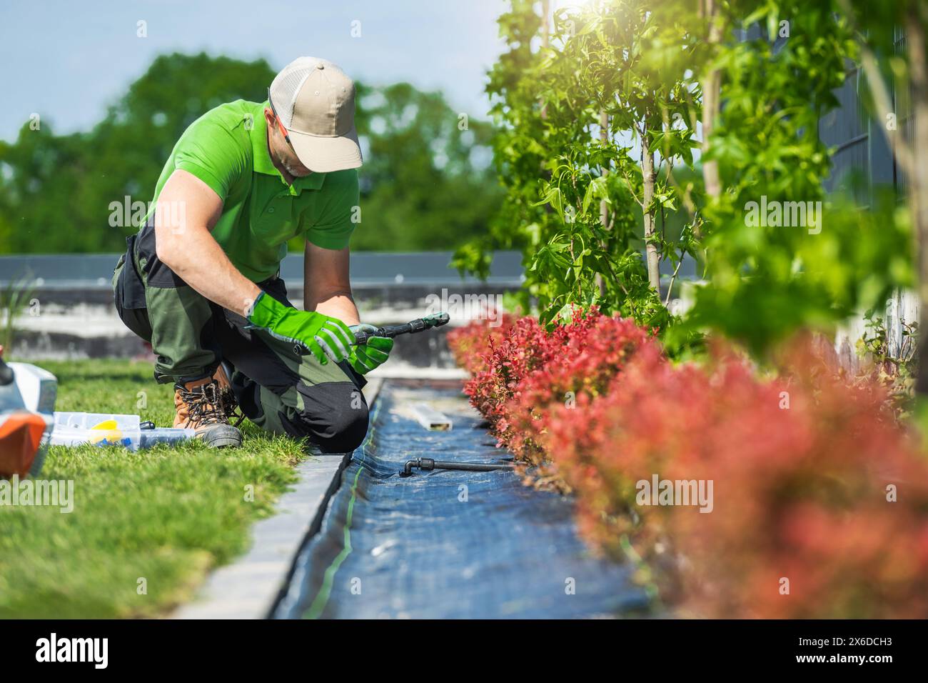 Professional Landscaper Installing Drip Irrigation System Inside a ...