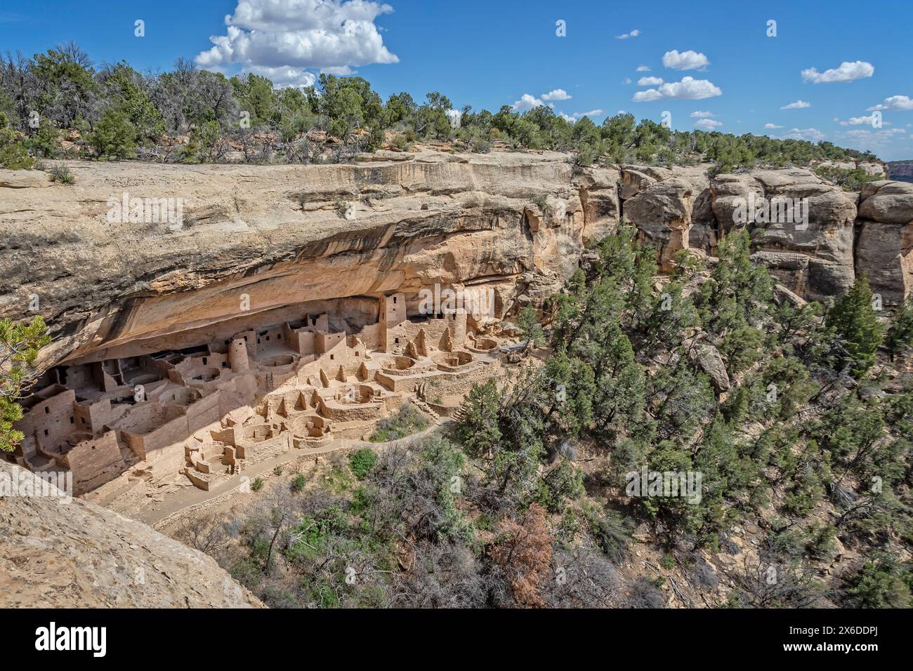 Ancient Cliff Palace cliff dwelling in Mesa Verde national Park ...