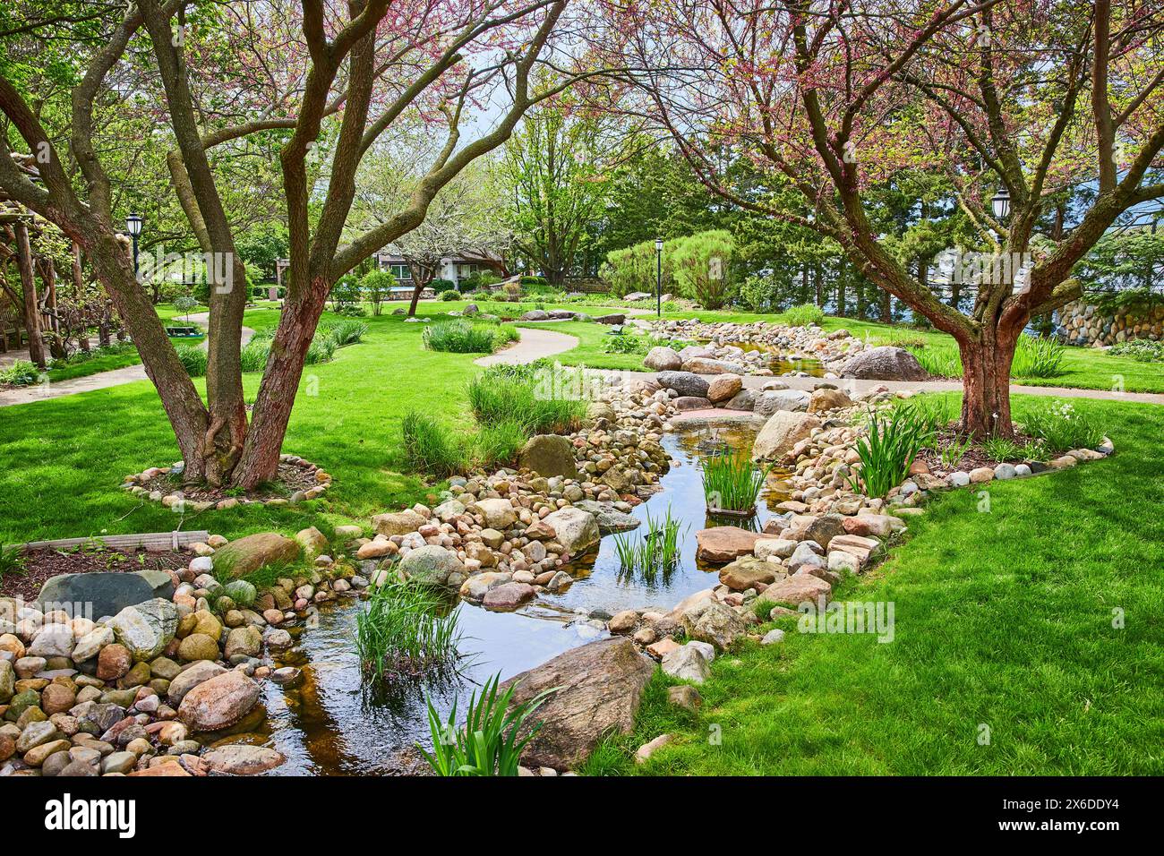 Spring Garden Stream and Blossoming Trees in Public Park, Eye-Level ...