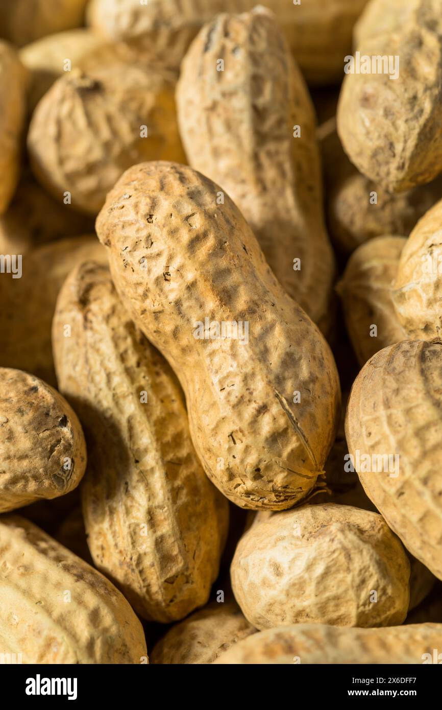 Raw peanuts in bowl hi-res stock photography and images - Alamy